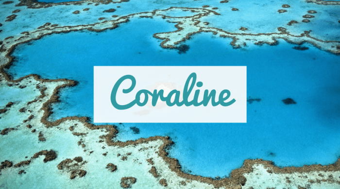 300+ Baby Names Inspired by the Ocean and Water - HubPages