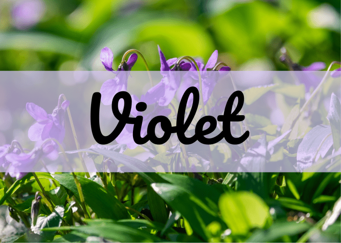 30+ February Baby Name Ideas for Girls and Boys - HubPages