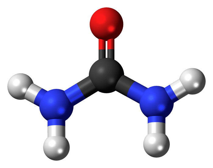 Facts About Urea in Blood, Urine, Skin Creams, and Fertilizer - Owlcation