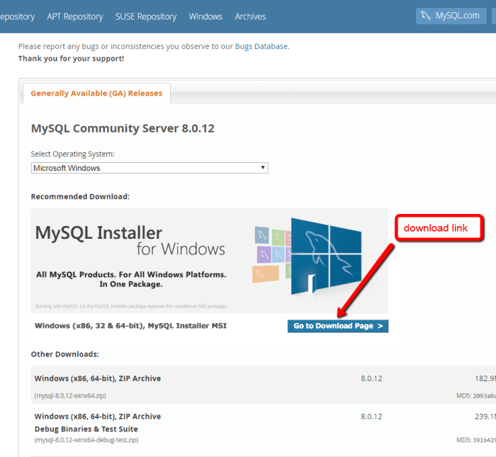 How to Install and Configure the MySQL Server With Custom Setup on ...
