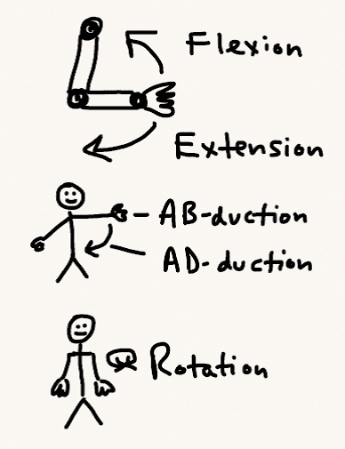 Human Anatomy: Anatomical Terminology, Orientation, and Movement ...