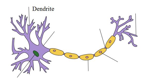 The Effect of Music on Human Health and Brain Growth - HubPages