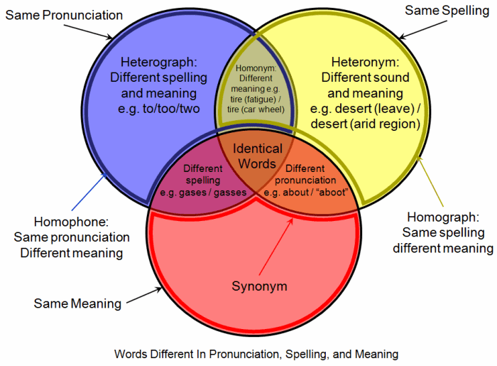 Lexical Relations: Describing Similarities in the English Language ...