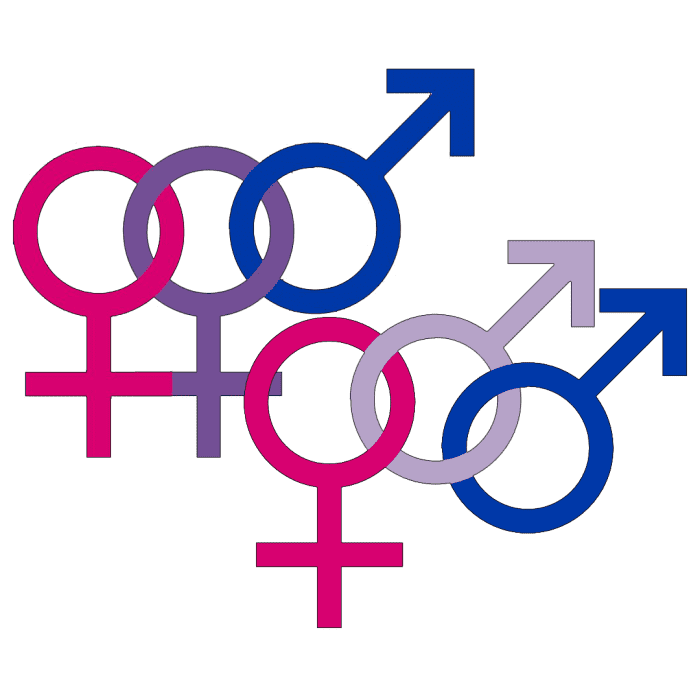 Show Your True Colors: A Guide to Bi Pride Symbols - HubPages