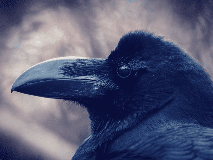 Gothic Literature: A Definition and List of Gothic Fiction Elements ...