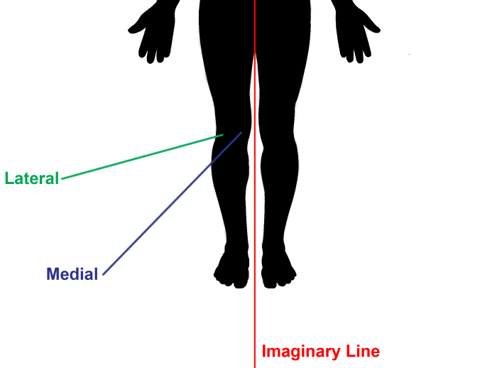Anatomy of the Knee Joint (With Diagrams and X-Ray) - HubPages