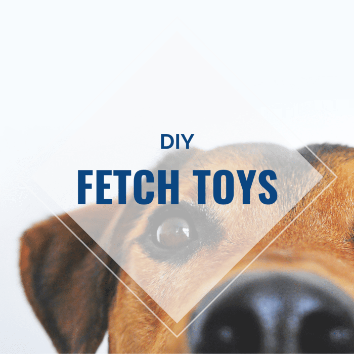 How to Make Your Own Homemade Dog Toys - HubPages