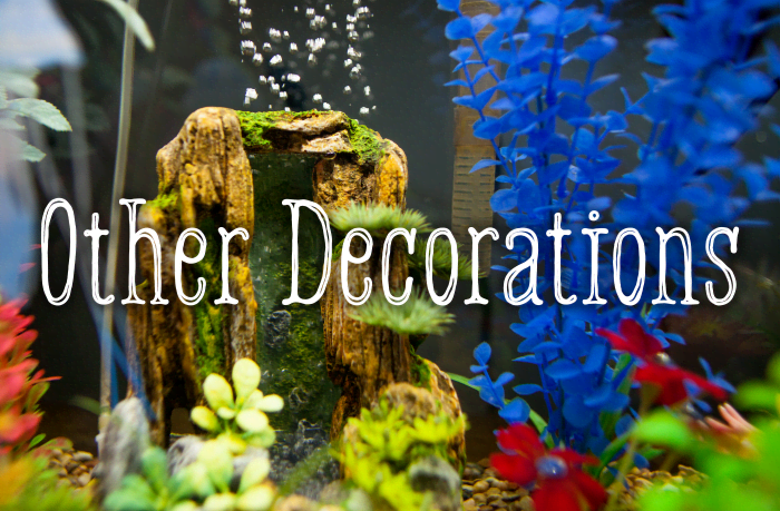 How to Decorate Your Fish Tank: Dos and Don'ts - PetHelpful