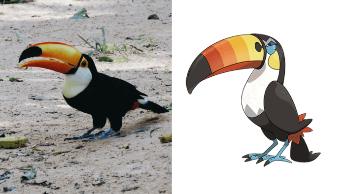 20 Real Pokémon You Can Own as Pets - HubPages