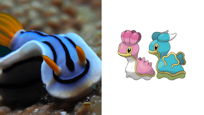 20 Real Pokémon You Can Own as Pets - HubPages