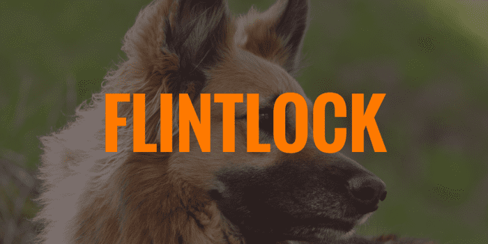 200+ Gun Names for Dogs (From Anderson to Uzi) - HubPages