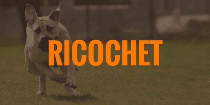 200+ Gun Names for Dogs (From Anderson to Uzi) - HubPages