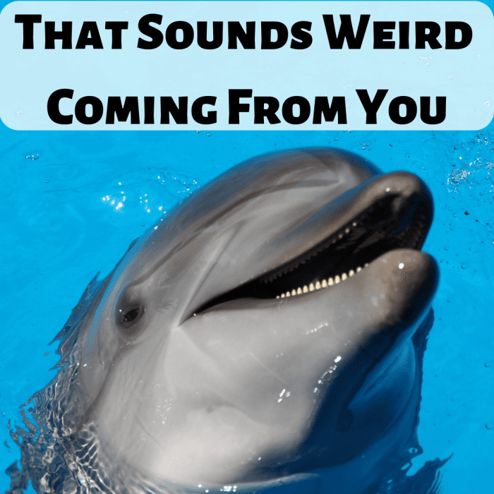 100 Funny and Witty Replies to Rude Comments - HubPages