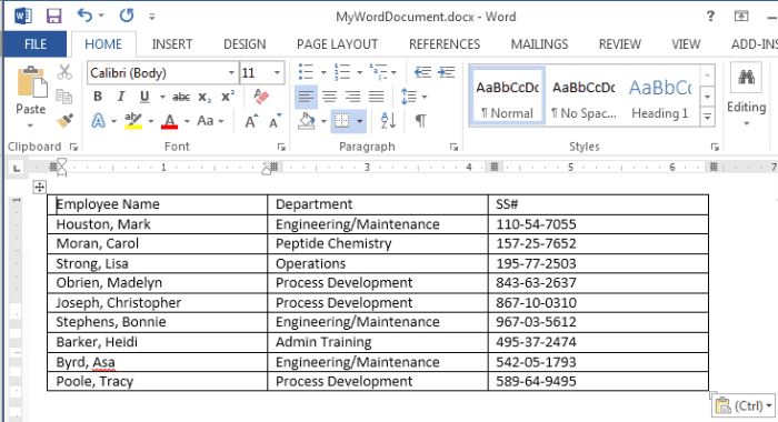 How to Insert an Excel Table Into Microsoft Word - HubPages