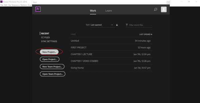 How to Capture a Photo From Video in Adobe Premiere Pro - HubPages