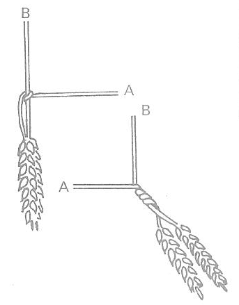 How to Weave With Natural Straw - HubPages