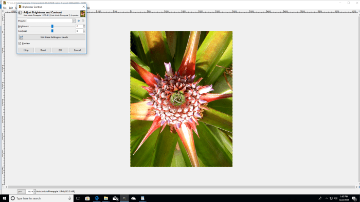How to Edit Your Photographs Using GIMP 2.8+ - HubPages