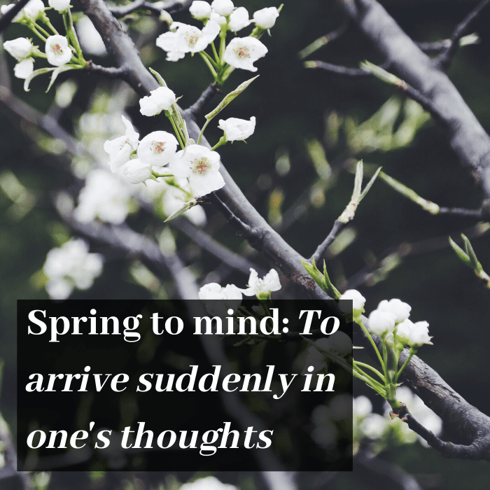 Common Spring Season Idioms, Adages, Quotes, and Sayings - HubPages