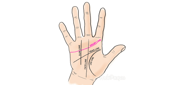 What Do the Lines on Your Palm Mean? 5 Lines Explained - HubPages
