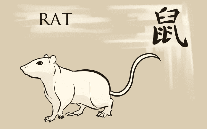 Chinese Astrology: Zodiac Animal Signs and Their Meanings - HubPages