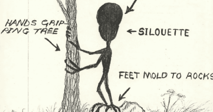 The Mystery of the Dover Demon - HubPages