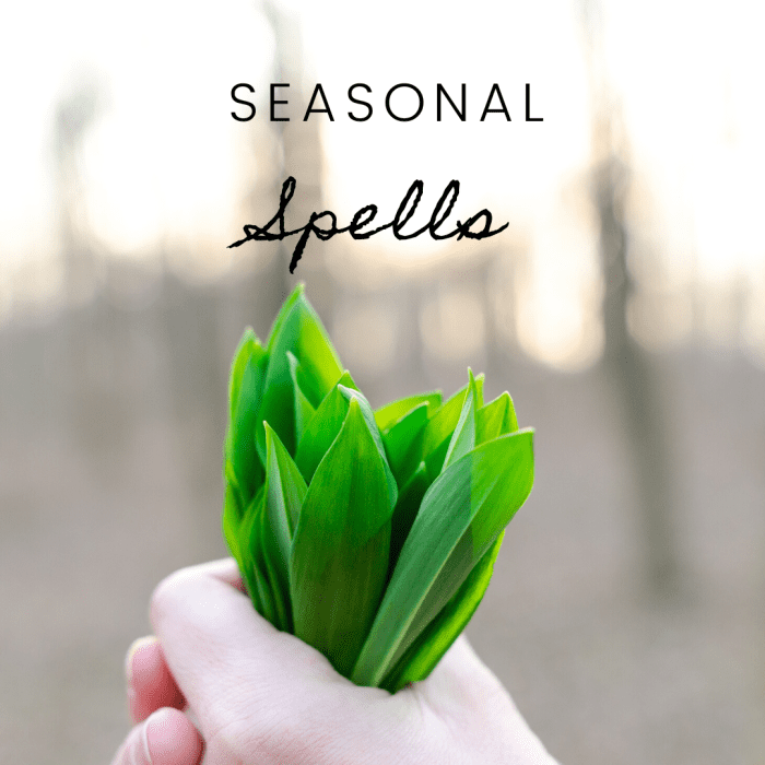 Witchcraft for Beginners: Spells, Exercises, and Lessons - HubPages