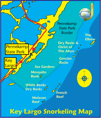 Best Places to Snorkel Coral Reefs in Florida - HubPages