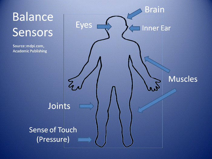 Exercises to Help Maintain Balance and Strength - HubPages