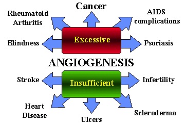 A List of Anti-Angiogenic Foods for a Cancer-Fighting Diet - HubPages