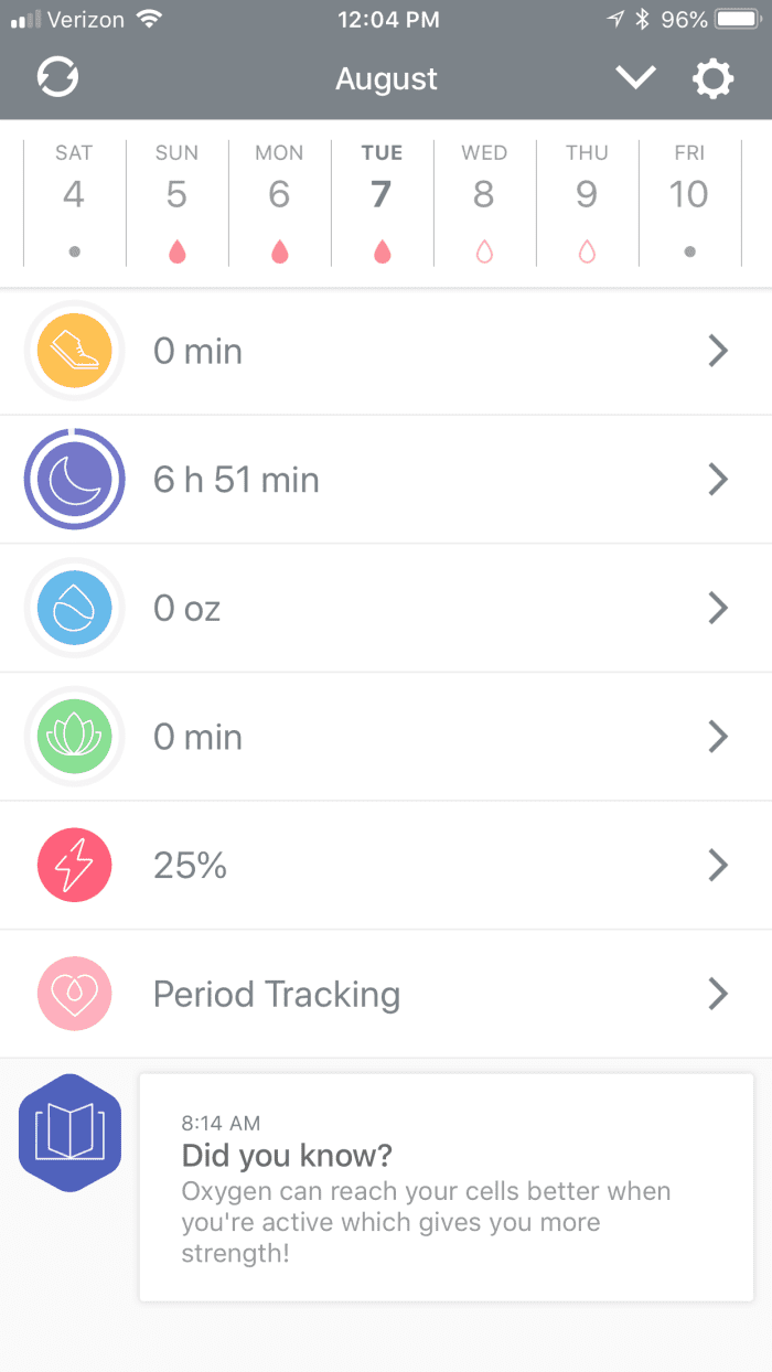 Bellabeat Leaf Review: Getting Started With the Leaf Fitness and Health ...