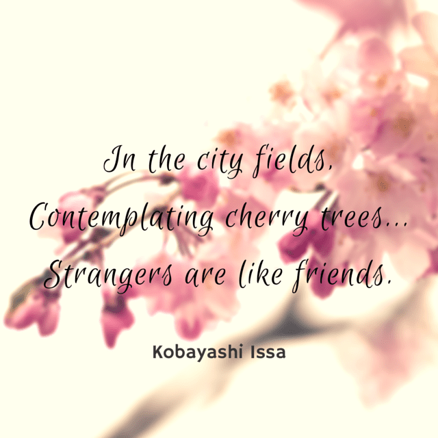 A Glimpse Into The World of Haiku - LetterPile