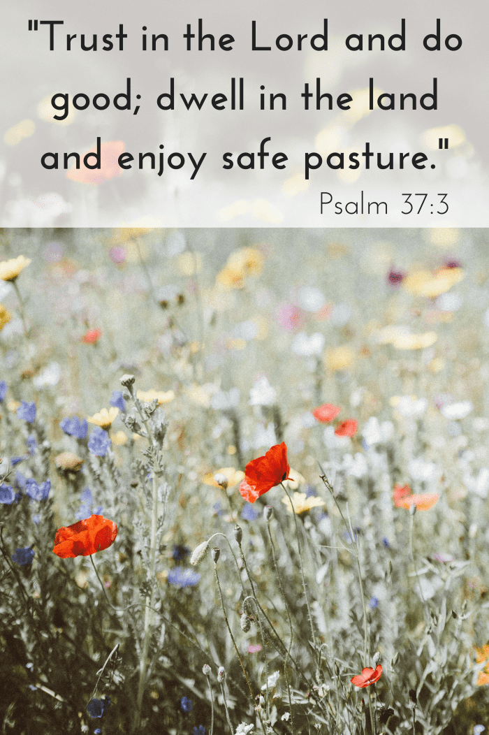 15 Bible Verses About Friendship Everyone Should Know - LetterPile