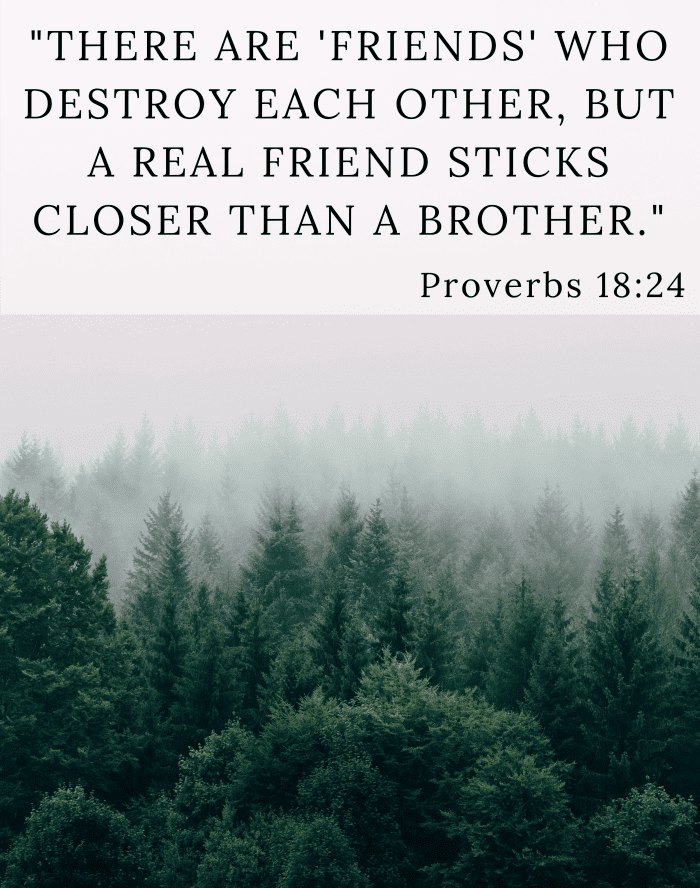 Bible Verses About Friendship: What Does God Say About Friends - LetterPile