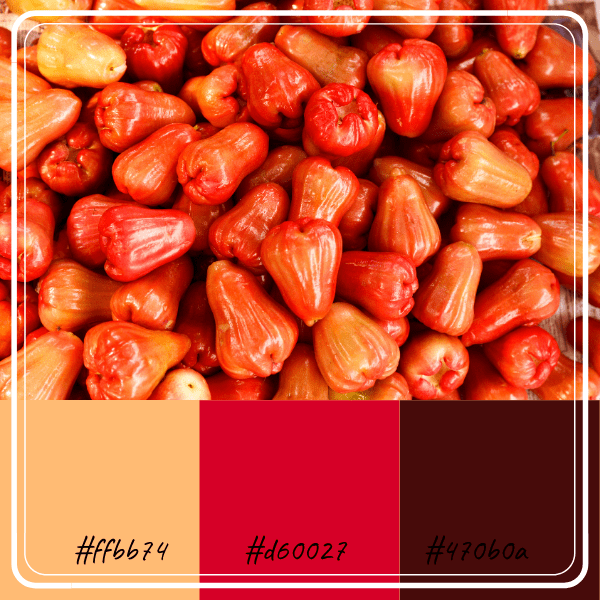 Color Combinations Inspired by Fruits - HubPages