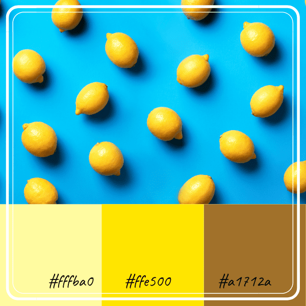 Color Combinations Inspired by Fruits - HubPages