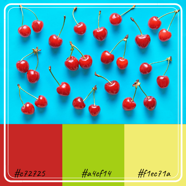 Color Combinations Inspired by Fruits - HubPages