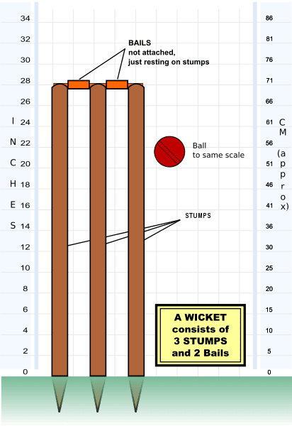 How to Play Cricket: A Guide for Beginners - HubPages