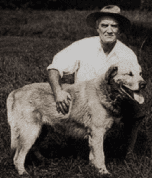 The 10 Most Respected Breeders Who Founded New Dog Breeds - HubPages