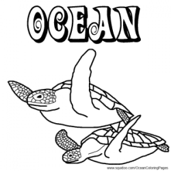 Ocean Animal Facts and Coloring Pages - HubPages