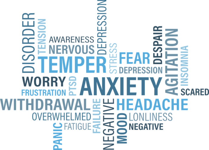 Lists of Mental Illnesses and What They are - HubPages