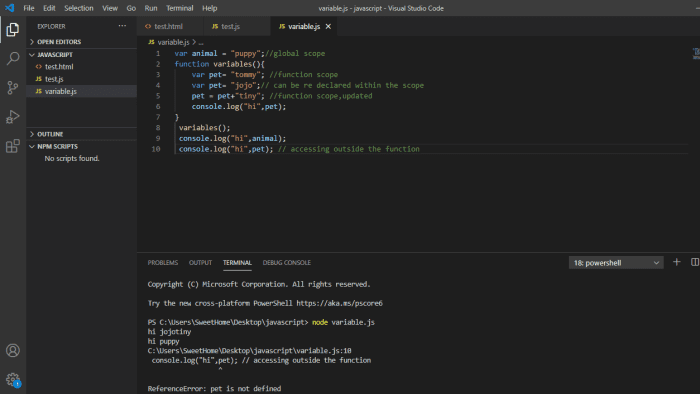 Javascript - Variables and Scope - HubPages