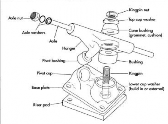 Longboard Parts: Anatomy of a Longboard - HubPages