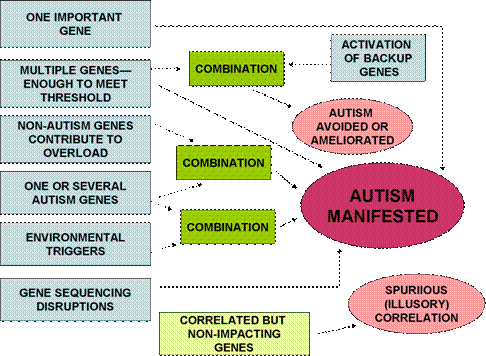 Genetics Affects on Autism - HubPages