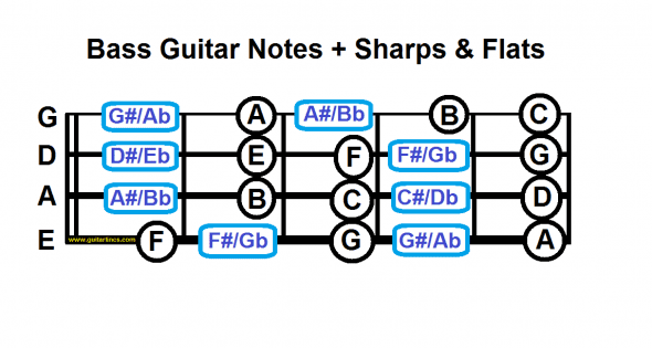 Bass Guitar 101 - HubPages