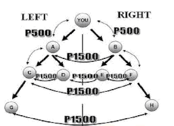 Alliance In Motion Global(AIM Global) Review - Truth Really Hurts ...