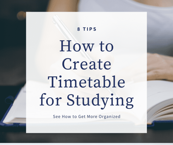 Timetable Plan Template to Help You Become Better at Studying - HubPages