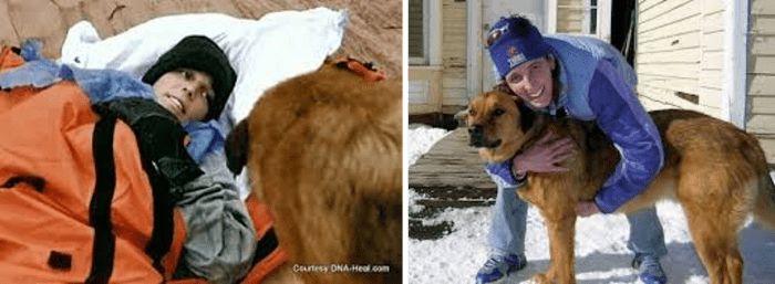 10 Heroic Stray Dogs That Saved Humans Life - HubPages
