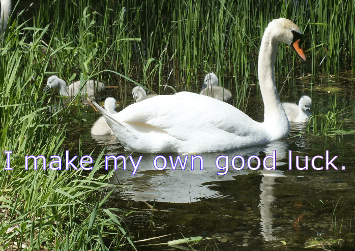 Reprogramming Your Brain. How to Program Your Mind Like a Computer ...