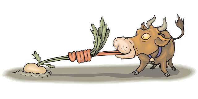 Health Benefits Of Turnip Greens - HubPages