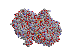 The Enzyme Catalase Activity at Different Conditions Lab Report - HubPages